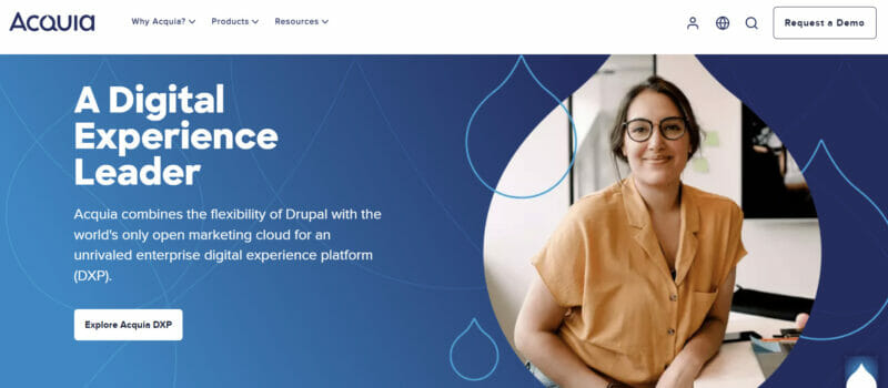 Top Digital Experience Platforms to Demo in 2024