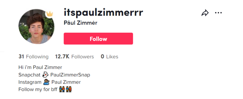 Top 19 Musical.ly Influencers Who Have Built Small Media Empires for ...