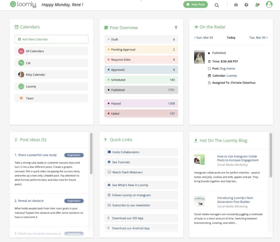 Loomly Review | Pricing & Features (2025) - Social Media Marketing Platform