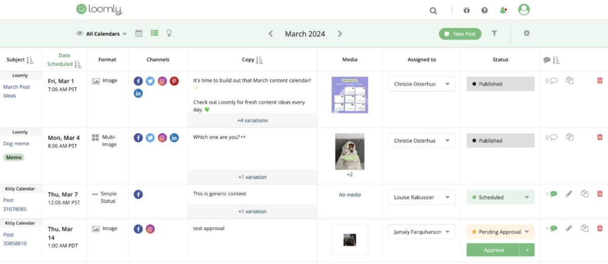 Loomly Review | Pricing & Features (2025) - Social Media Marketing Platform