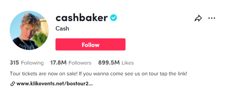 Top 22 Male TikTok Influencers