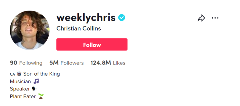 Top 22 Male TikTok Influencers