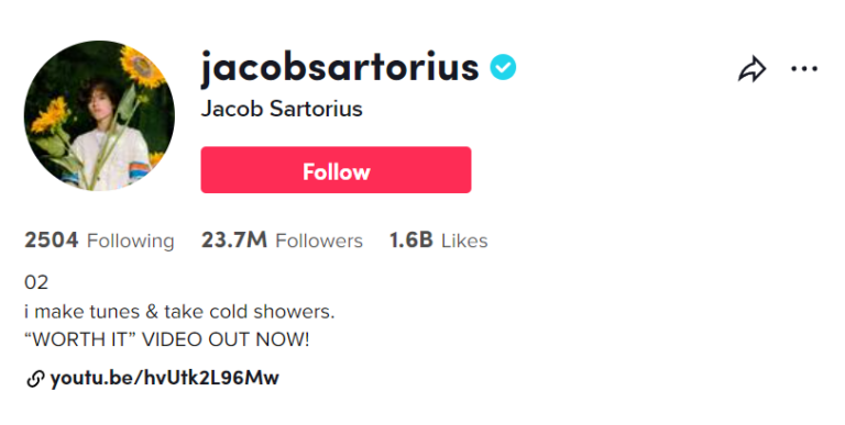 Top 22 Male TikTok Influencers