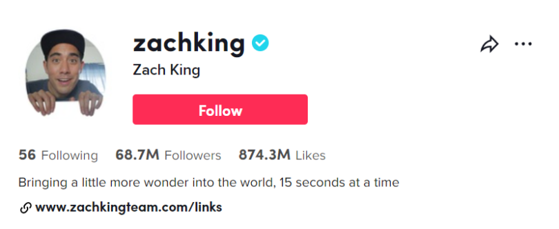 Top 22 Male TikTok Influencers