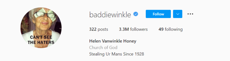 220+ Instagram Bio Ideas to Make Your Own in 2023