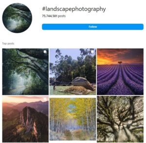 8 Tips to Trend on Instagram - An Instagram Influencer's Guide