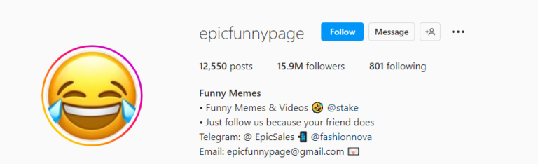 9 Das Melhores Contas de Memes do Instagram Para Conferir em 2023