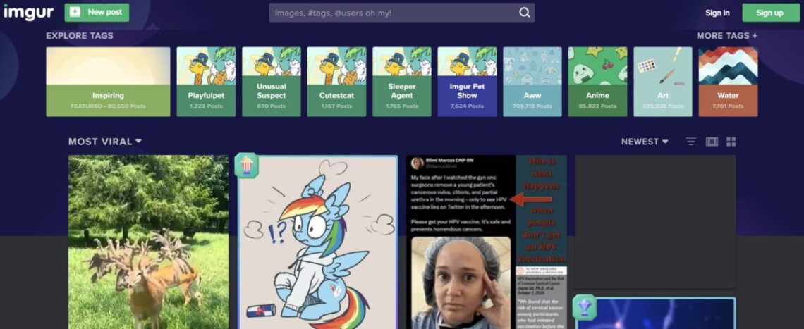 The Complete Guide to GIF Marketing: How to Source GIFs and Use Them in ...