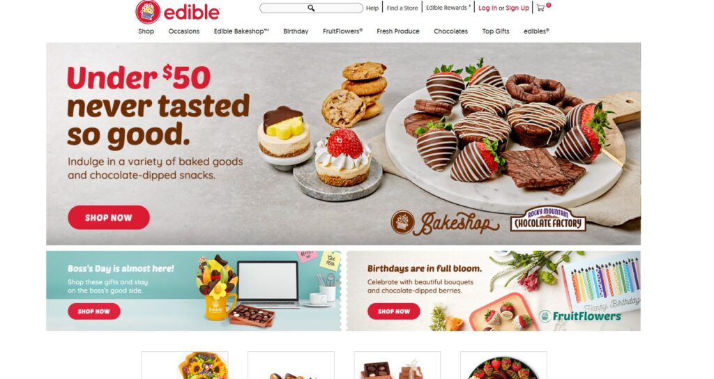 17 Successful eCommerce Businesses Thriving Towards 2021