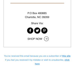 11 Best Email Footer Examples to Inspire You in 2025