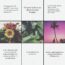 7 Instagram Grid Examples to Inspire Your Own