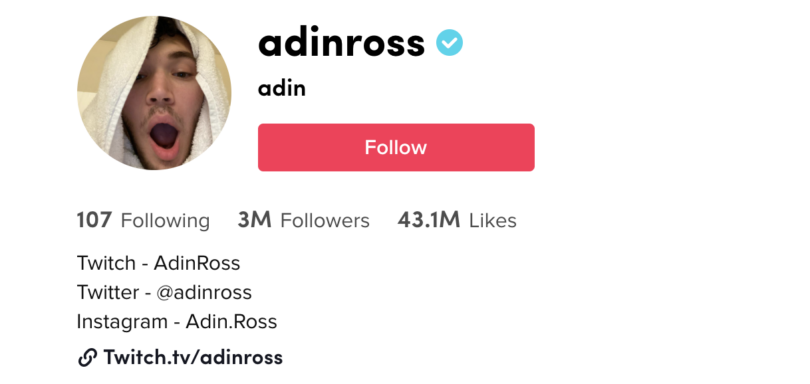 30 of the Biggest Social Media Influencers on TikTok Right Now