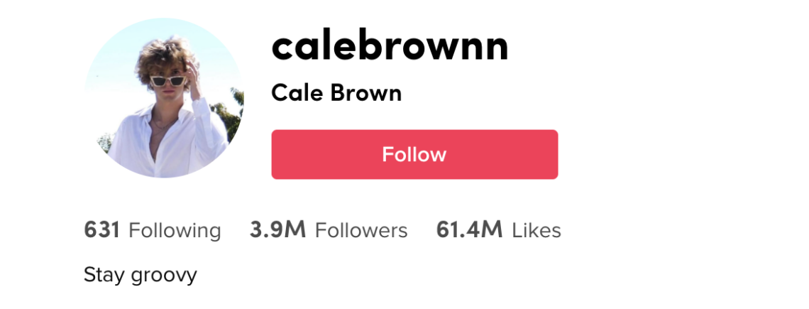 30 of the Biggest Social Media Influencers on TikTok Right Now