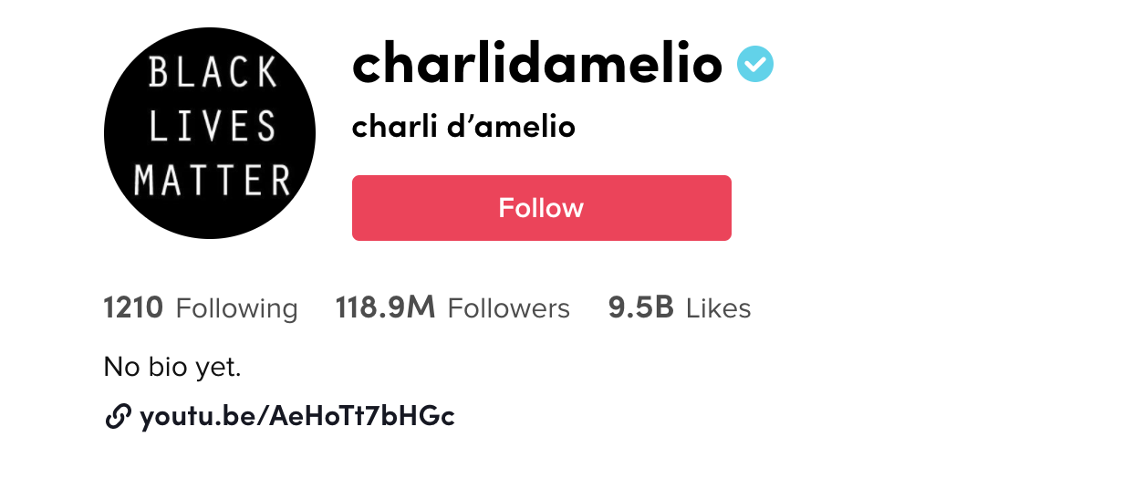 30 of the Biggest Social Media Influencers on TikTok Right Now