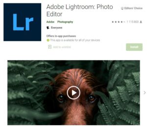 How to Create Instagram Line Breaks & Your Best Posts Yet