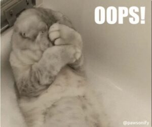 10 Great Snapchat Sticker Memes To Make You Laugh