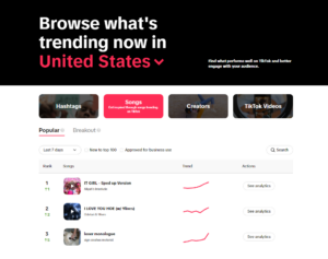 How Does the TikTok Algorithm Work?