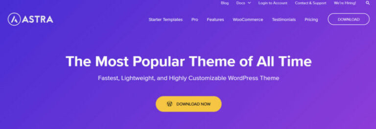 13 Best WordPress Themes in 2025