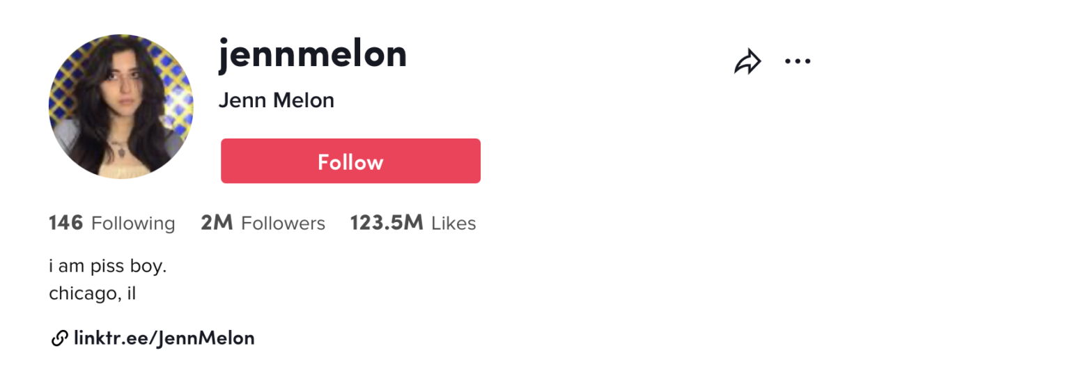 15 of the Top Content Creators on TikTok