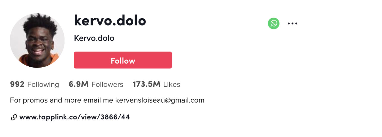 15 of the Top Content Creators on TikTok