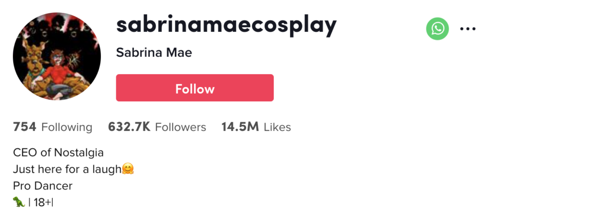 15 of the Top Content Creators on TikTok