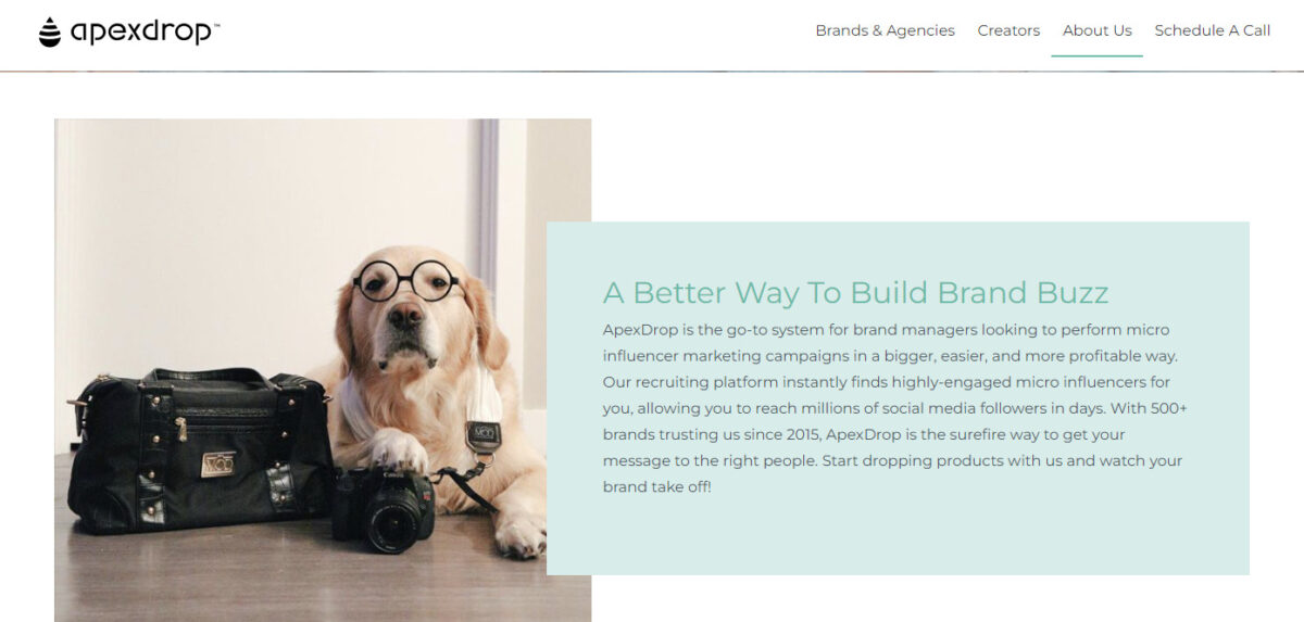 Top 17 Nano Influencer Marketing Agencies Making a Big Impact [UPDATED]