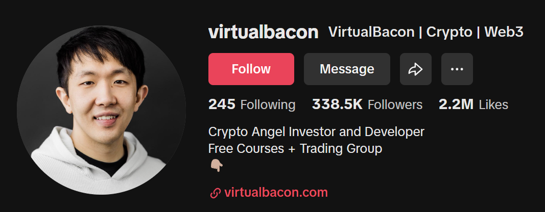 Top 16 TikTok Crypto Influencers to Follow