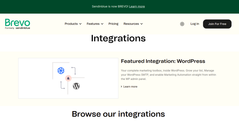 Mailchimp or Brevo (formerly Sendinblue)? Let’s See What Truly Works for Your Company