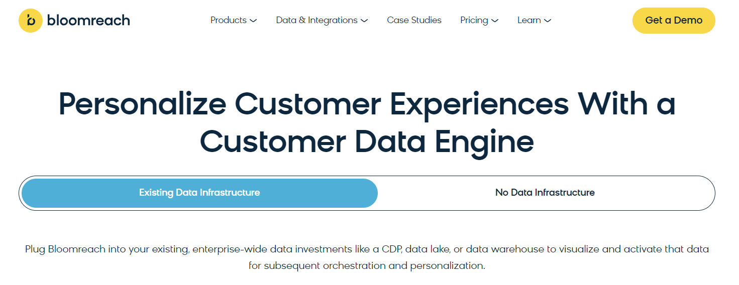 Top 10 AI Customer Data Platforms (CDPs) for 2025