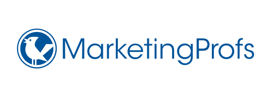Directive Consulting Review Digital Marketing Agency based in ...