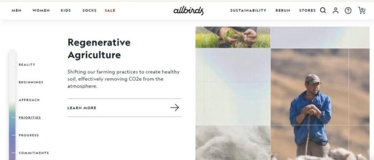 Top Eco-Friendly Marketing Strategies for a Greener Future