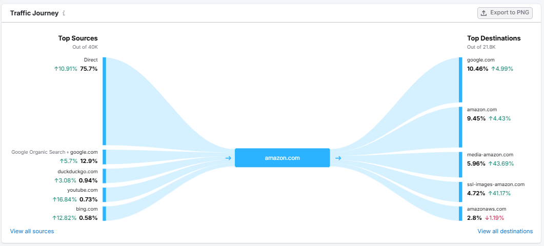 SEO Portfolio Examples: Showcase Your SEO Success
