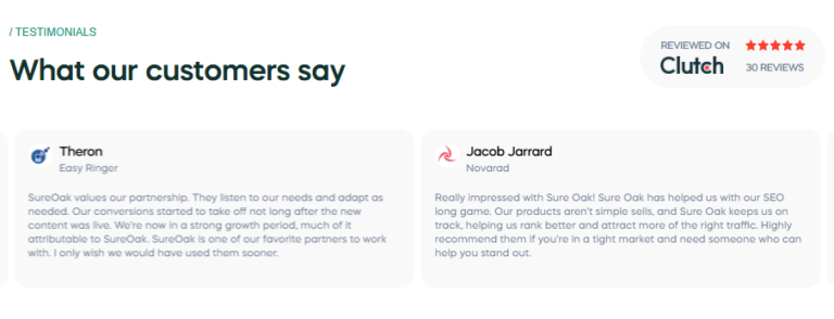 SEO Portfolio Examples: Showcase Your SEO Success